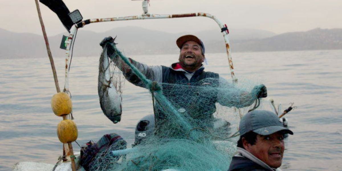 Colombia prepara proyecto para desarrollar la pesca turística en el ...